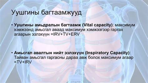 Амьсгалын эрхтэн тогтолцооны физиологи Pptx