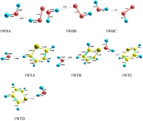 Possible Complexes Established Between Hydroperoxyl Radical And Water
