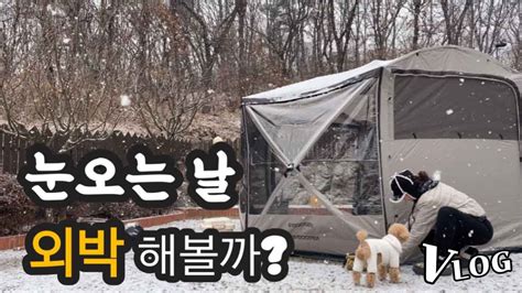 Vlog 추워도 괜찮아 눈 내리는 날 급 캠핑ㅣ눈 오는 날 마당 캠핑ㅣ장박 아니고 마당박 ㅣ집주인의 위엄 두둥 ㅣ