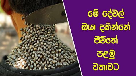 ඔබ මේවා දකින්නේ ජිවිතේ පළමු වතාවට Ep14 Youtube