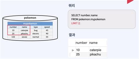 SQL 데이터베이스 가져오기