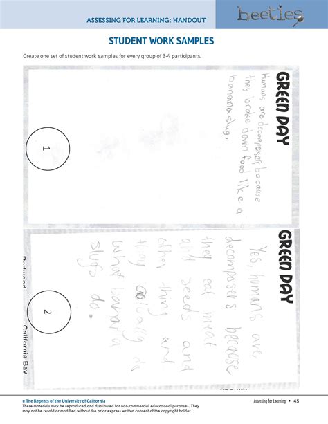 Beetles Project Student Work Samples Beetles Project