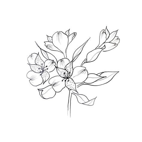 Alstroemeria Tattoo Alstroemeria
