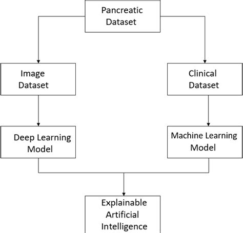 Figure 1 From An Xai Approach To Predictive Analytics Of Pancreatic Cancer Semantic Scholar
