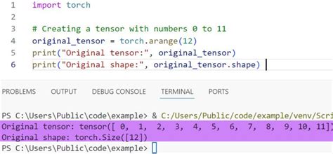 How To Reshape A Tensor In Pytorch