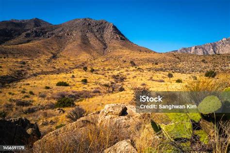 과달 루페 산맥 국립 공원 야생 풍경 건조한 식물과 화산암 위로 과달 루페 피크의 전망 도시를 벗어난 장면에 대한 스톡 사진 및 기타 이미지 도시를 벗어난 장면 사막
