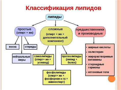 Липиды в биохимии: характеристика, выполняемые функции