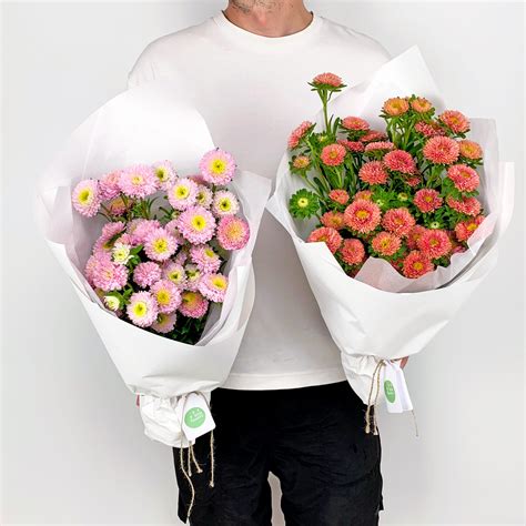 Asters Delivered In Sydney By Little Flowers