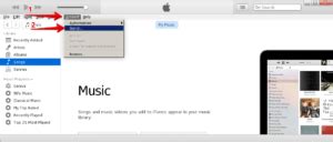 How To Install And Use ITunes On Ubuntu VITUX