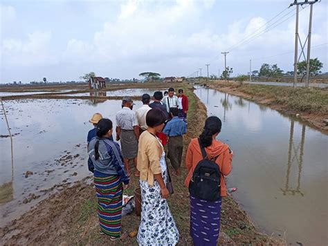 ပေါင်မြို့နယ်တွင်စိုက်ပျိုးရေးဦးစီးဌာနမှ ကျင်းပပြုလုပ်သော မိုးစပါးဆစ