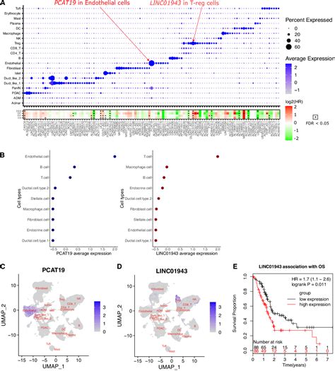 Figure From Single Cell Transcriptomics Reveals Long Noncoding RNAs Associated With Tumor