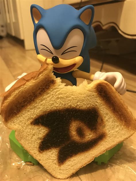 Sonic Is Toasted Sonic Engraçado Jogos Do Sonic Sonic The Hedgehog