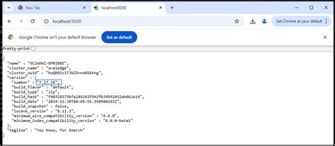 Installation Of Elasticsearch 7x On Windows