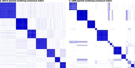 The Consensus Matrices Of Spectral Clustering For Identifying Deg Download Scientific Diagram
