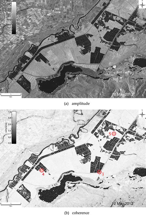 Rice Plant Height Monitoring From Space With Bistatic Interferometry Intechopen