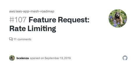 Feature Request Rate Limiting · Issue 107 · Awsaws App Mesh Roadmap