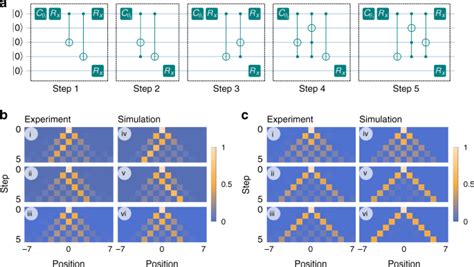 Quantum Walks And Dirac Cellular Automata On A Programmable Trapped Ion