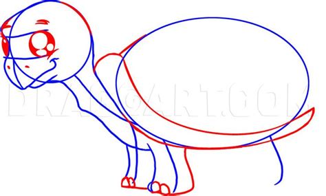 How To Draw A Cartoon Turtle Step By Step Drawing Guide By Dawn
