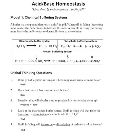 Solved Acidbase Homeostasis “how Does The Body Maintain A