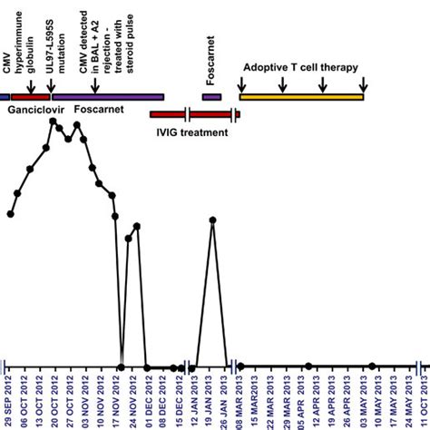Cmv Replication Before And After Adoptive T Cell Therapy Timeline Of