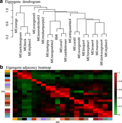 Relationships Among Modules A Hierarchical Clustering Of Module