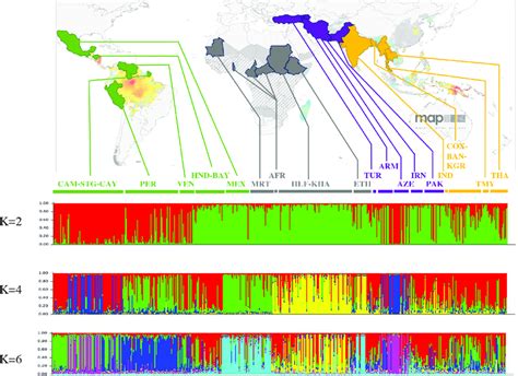 bayesian cluster analysis on 575 p vivax isolates collected around the