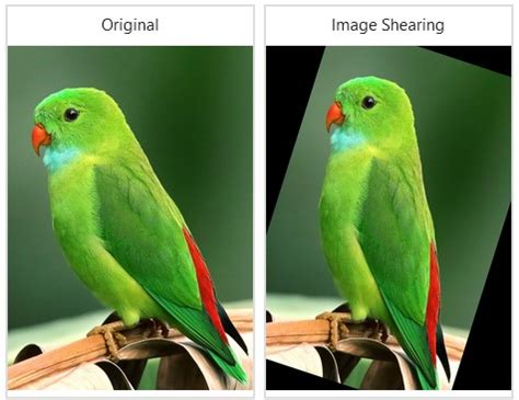 Image Augmentation Using Python Libraries Itechnewsonline Com