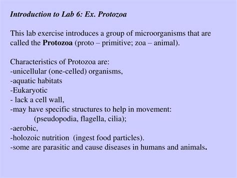 PPT Introduction To Lab 6 Ex Protozoa PowerPoint Presentation Free Download ID 588665