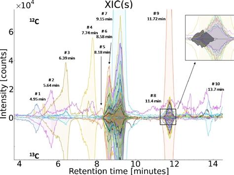 Eics Extracted By Metextract Positive Intensities Show The Eics Of The Download Scientific