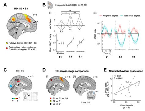 Activity In The Dorsal Anterior Cingulate Cortex Dacc Correlates Download Scientific