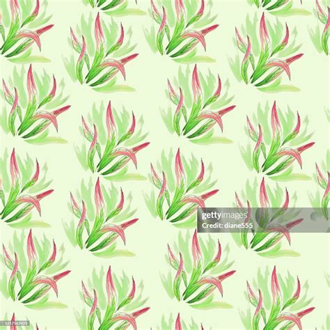 Watercolor Grasses Seamless Pattern High Res Vector Graphic Getty Images