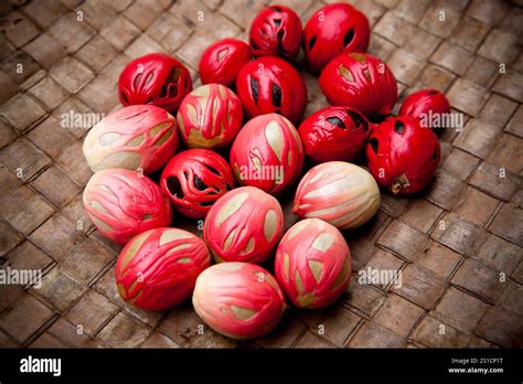 Assortment Of Organic Mace Aril And Nutmeg Seed Mace Is The Spice Made