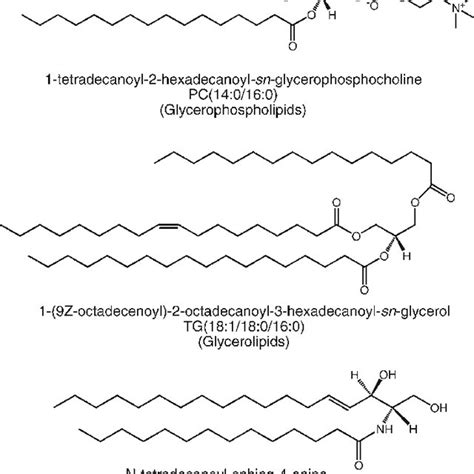Pdf Update Of The Lipid Maps Comprehensive Classification System For