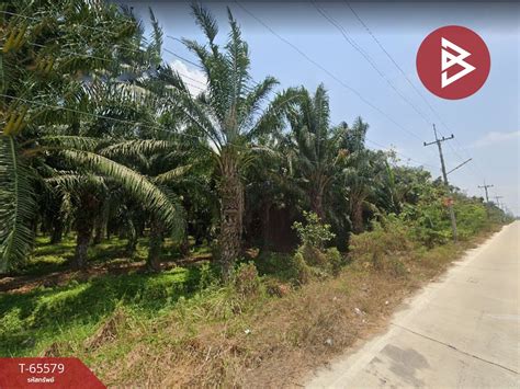 ขายที่ดิน 2 แปลง เนื้อที่ 1 ไร่ อ หนองเสือ ปทุมธานี ติดถนน คลังบ้าน Com