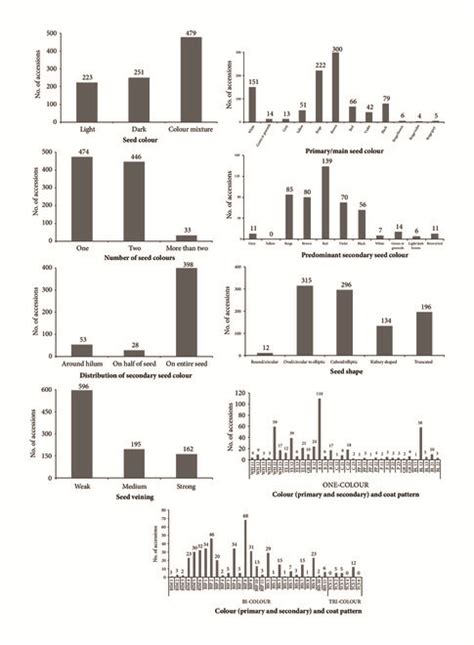 Morphological Seed Characterization Of Common Phaseolus Vulgaris L And Runner Phaseolus