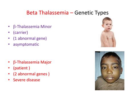 Beta Thalassemia And Thalassemia Prevention 2021 Pdf