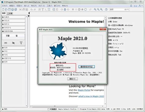 maplesoft maple 2021 安装教程 csdn博客