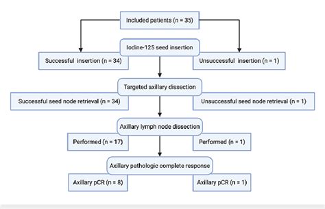 Flow Diagram And Procedural Outcomes Download Scientific Diagram
