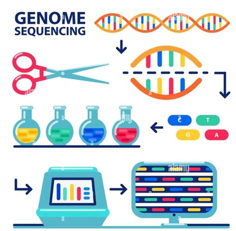 Biopractify On Linkedin Genomesequencing Bioinformatics