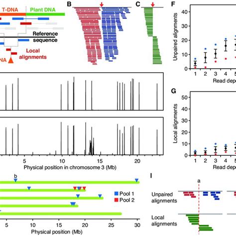 Mapping By Sequencing Ems Induced Mutations Using Backcross Derived F 2