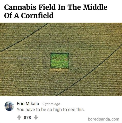 Bored Panda Best Comment Awards Funny Times The Comments Made Our Posts So Much Better