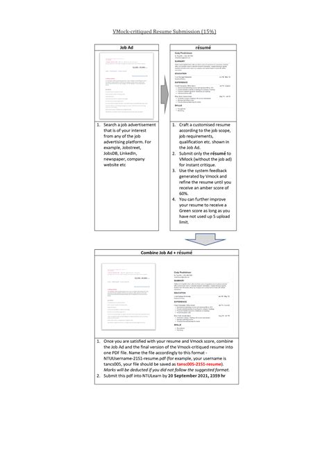 Vmock Resume Template