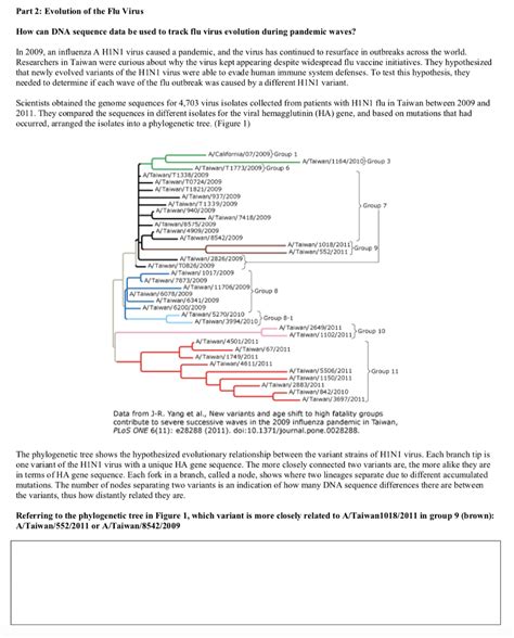 Solved Part 2 Evolution Of The Flu Virus How Can Dna