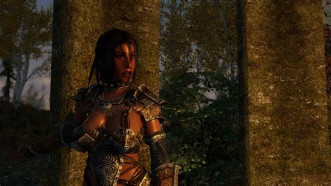 Sse Screenshots And Character Shots Page 287 Skyrim Special