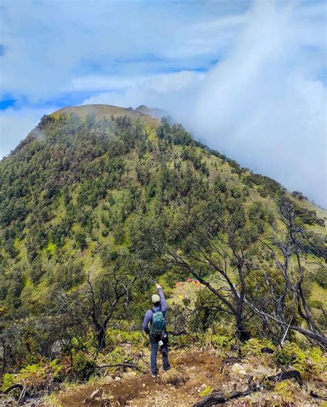 Mengenal Gunung Arjuno, Harus Perhatikan Hal Ini Jika Mau Kesini!