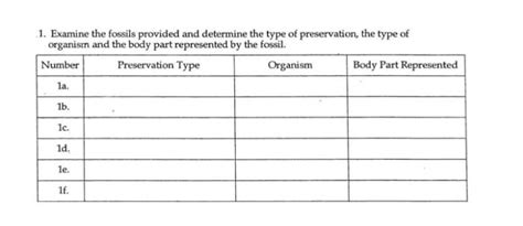 Solved Question 1 Modes Of Fossilization Examples La Cavity