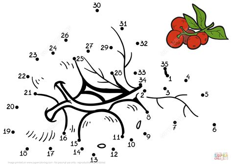 크렌베리 점이어그리기