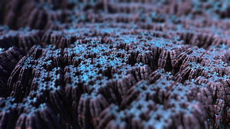 Microscopic World By Pixamight On Deviantart