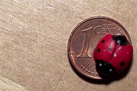 Microsoft Expands Bug Bounty Program To Cover Any Windows Flaw Ars Technica