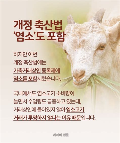 몸에 좋은 염소고기 더 많이 드세요 네이버 블로그